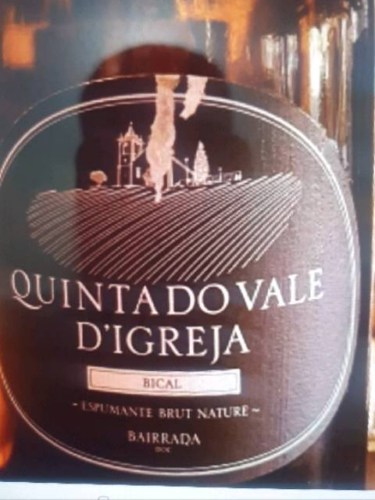 Quinta do Vale d'Igreja Bical Espumante Brut Nature | Vivino US
