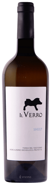 Il Verro Sheep | Vivino 日本