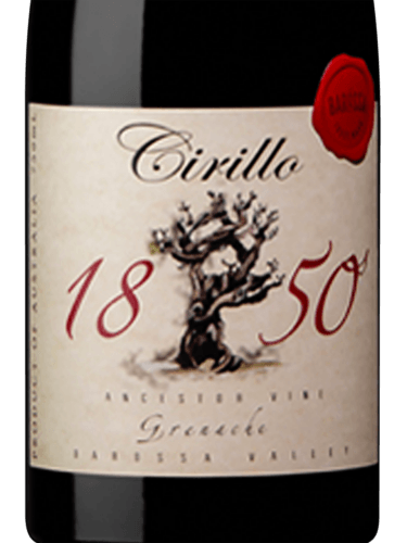 Cirillo 1850 Ancestor Vine Grenache | Vivino US