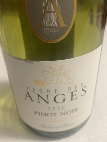 Terre des Anges Bourgogne Pinot Noir | Vivino Brasil