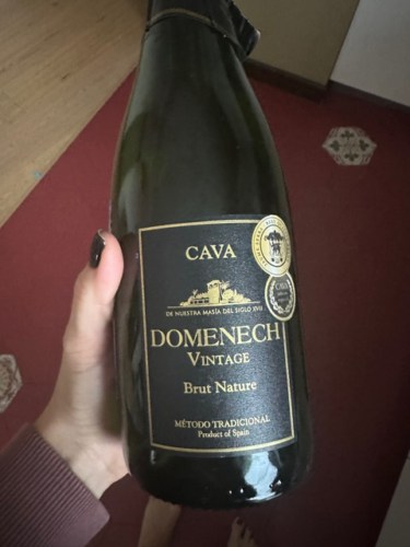 Domenech Cava Vintage Brut Nature | Vivino US