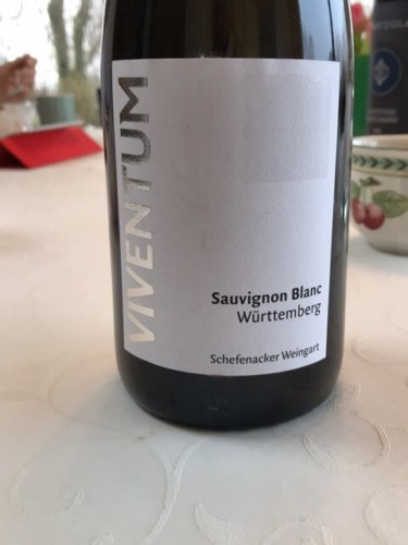 Schefenacker Weingart Viventum Sauvignon Blanc | Vivino US