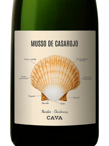 Casa Rojo Cava Musso de Casa Rojo Macabeo - Chardonnay | Vivino English