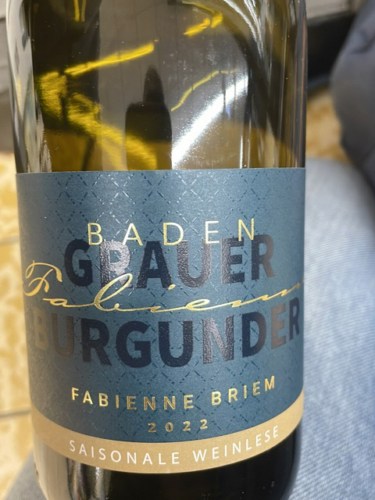 Aldi Fabienne Briem Grauburgunder | Vivino US