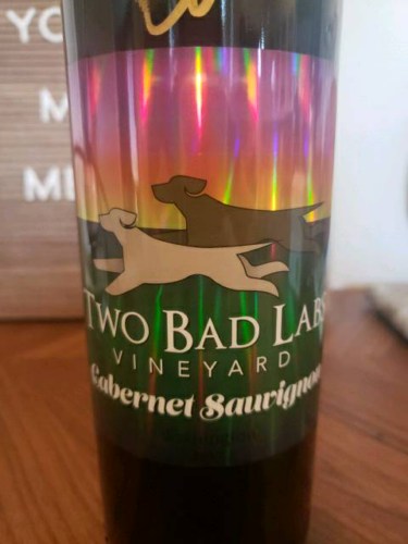 Two Bad Labs Vineyard Cabernet Sauvignon | Vivino US