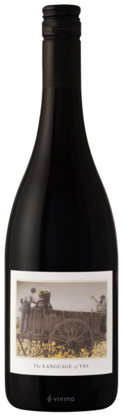 The Language of Yes Syrah | Vivino English