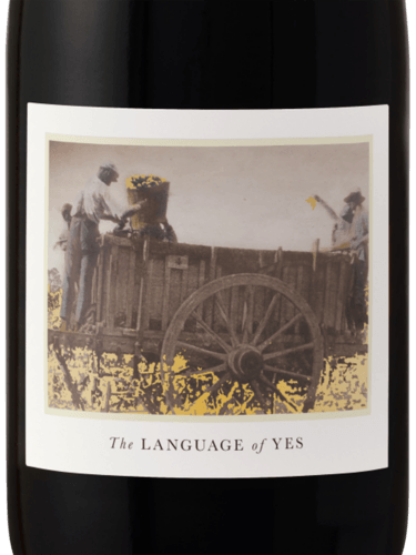 2021 The Language of Yes Syrah | Vivino US