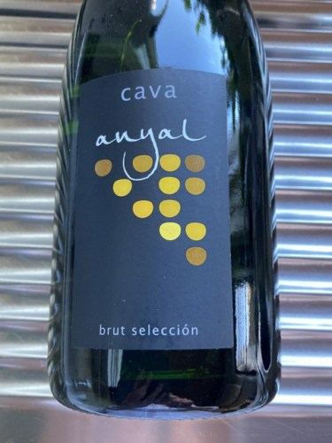 Anyal Cava Anyal Brut Selección | Vivino US