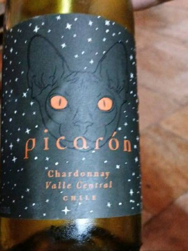 Picarón Chardonnay | Vivino Português (Brasil)