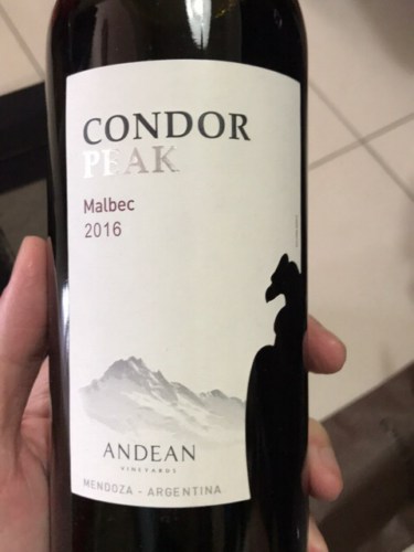 2016 Andean Vineyards Condor Peak Malbec | Vivino