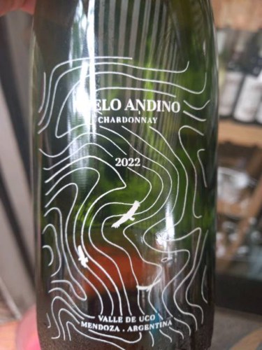 Vuelo Andino Chardonnay | Vivino US
