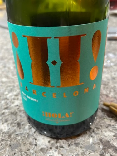 Hola Cava Barcelona Brut Nature | Vivino