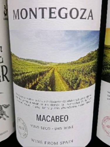 San Valero Montegoza Macabeo | Vivino English