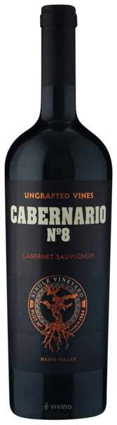 2019 Santa Rita Cabernario No 8 Single Vineyard Cabernet Sauvignon | Vivino US