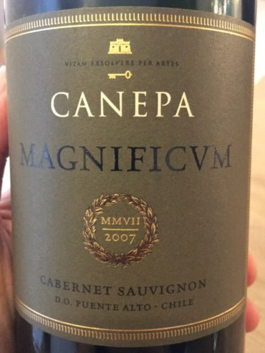 Canepa Magnificum Cabernet Sauvignon | Vivino English