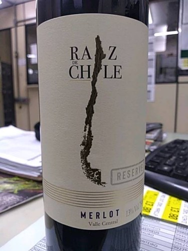 Raíz de Chile Reserve Merlot | Vivino Brasil