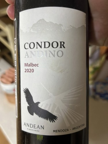 2020 Andean Vineyards Condor Andino Malbec | Vivino