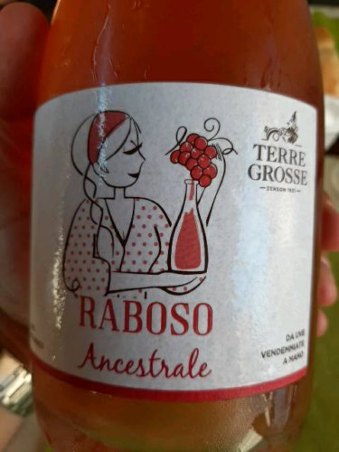 2019 Terre Grosse Raboso Ancestrale | Vivino US