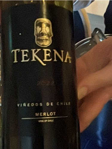 Tekena Merlot | Vivino English