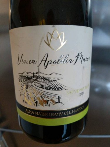Vinea Apoldia Maior Sauvignon Blanc | Vivino US