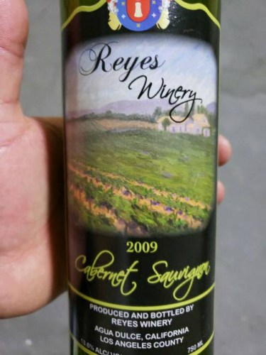 Reyes Cabernet Sauvignon | Vivino US