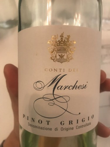 Conti dei Marchesi Pinot Grigio | Vivino US
