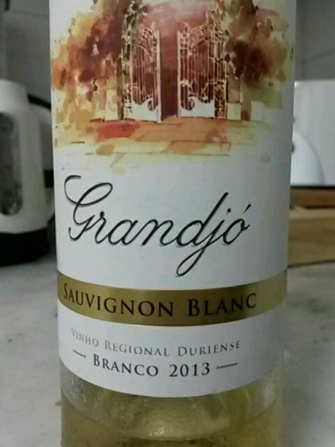 Grandjó Sauvignon Blanc | Vivino US