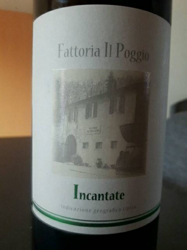Il Poggio Incantate Bianco | Vivino US
