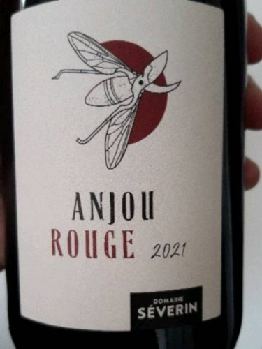 Domaine Séverin Anjou Rouge | Vivino France
