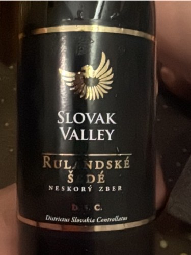 Vinum Nobile Slovak Valley Rulandské Šedé Neskorý Zber | Vivino US