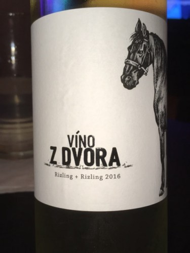 2016 Vino Z Kamenneho Dvora Rizling Rynsky | Vivino US