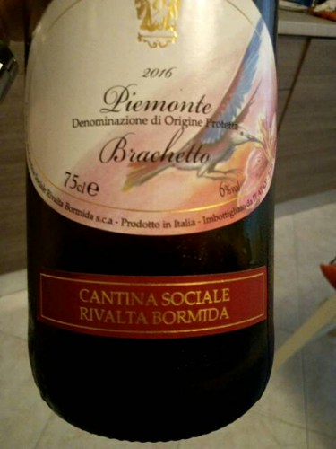 Rivalta Bormida Piemonte Brachetto | Vivino Australia