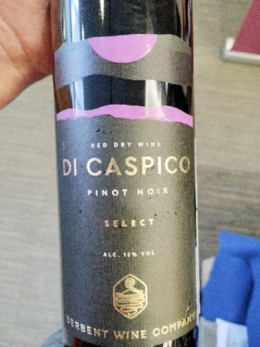 2021 Derbent Wine Company Di Caspico Select Pinot Noir | Vivino English