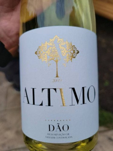 2019 Altimo Dão Branco | Vivino US