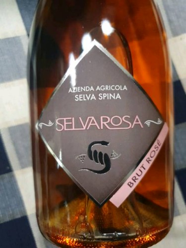 Selva Spina Selva Rosa Brut Rosé | Vivino US