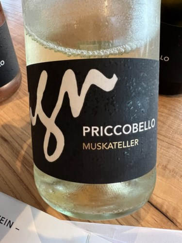 Weingut Hagn Priccobello Muskateller | Vivino US