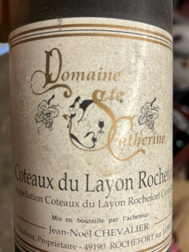 Domaine Ste Catherine Coteaux du Layon Rochefort | Vivino US