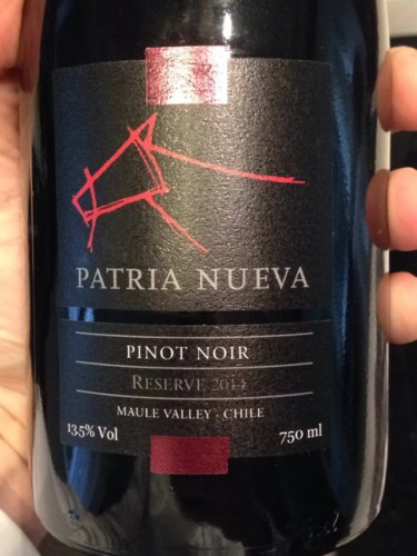 Patria Nueva Reserve Pinot Noir | Vivino US