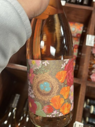 Anne Amie Vineyards Rosé of Pinot Noir | Vivino English