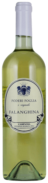Poderi Foglia I Vignali Falanghina | Vivino US
