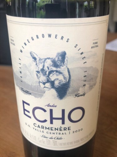 Andes Echo Carmenère | Vivino US