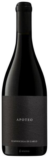 Vigna Madre Giannicola di Carlo Apoteo Rosso | Vivino English