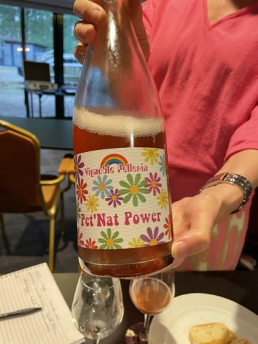 Vignoble Pellerin Pet'Nat Power | Vivino US