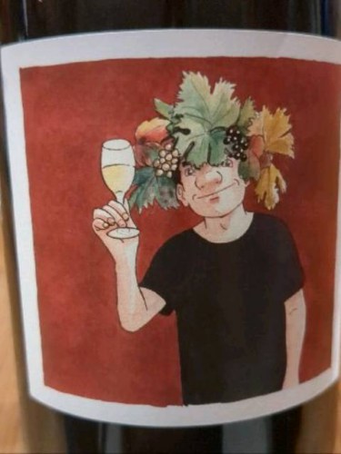 Domaine Richaud Côtes du Rhône Nouveau | Vivino Français