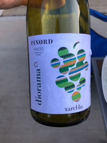 Pinord Diorama Xarel-Lo | Vivino US