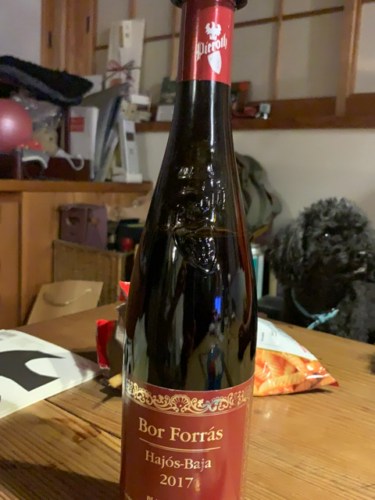 2017 Pieroth Bor Forrás Blaufränkisch | Vivino US