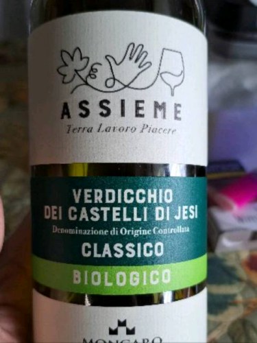 Assieme Biologico Verdicchio dei Castelli di Jesi Classico | Vivino US