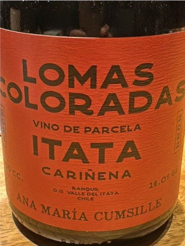 Ana María Cumsille Lomas Coloradas Cariñena | Vivino English