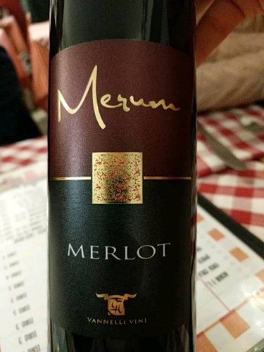 Vini Vannelli Merum Merlot | Vivino Brasil