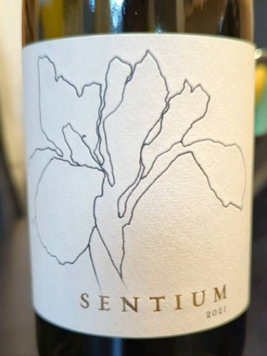 Continuum Sentium | Vivino België